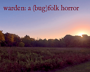 Warden: a (bug)folk horror - Details