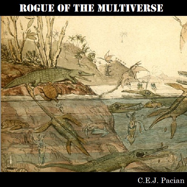Rogue of the Multiverse - Details