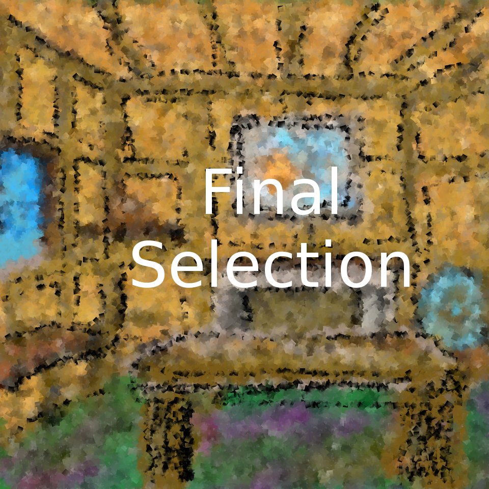 Final Selection - Details