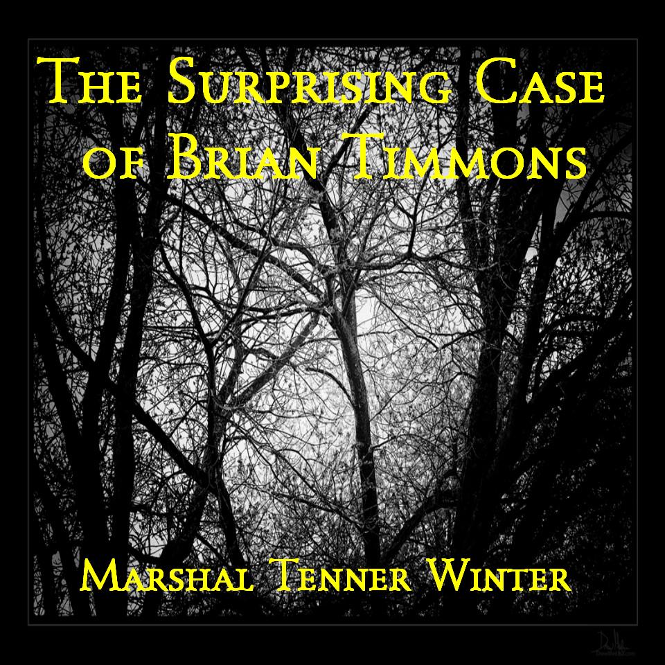 The Surprising Case of Brian Timmons - Details