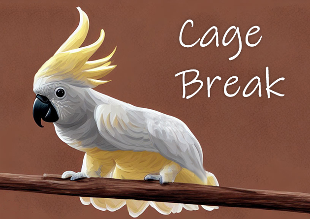 Cage Break - Details